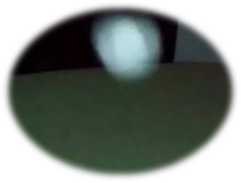 Orbicle Times – The Seen, The Unseen & The In-Between… – ORBICLE TIMES